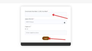 How To Download Unique Disability ID (UDID) Card Online