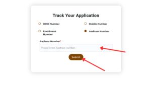 How To Track UDID Card Application Status Online (In 3 Steps)
