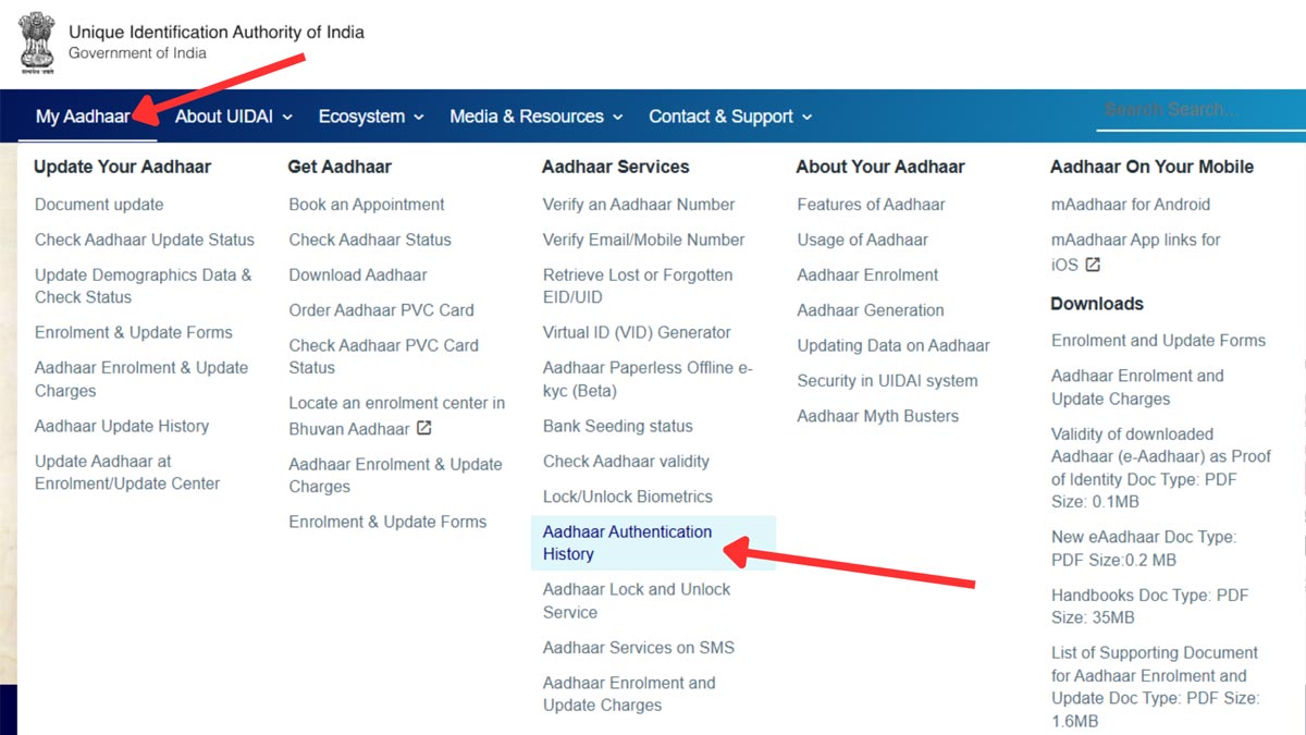 Aadhaar Authentication History: How To Check & Download PDF