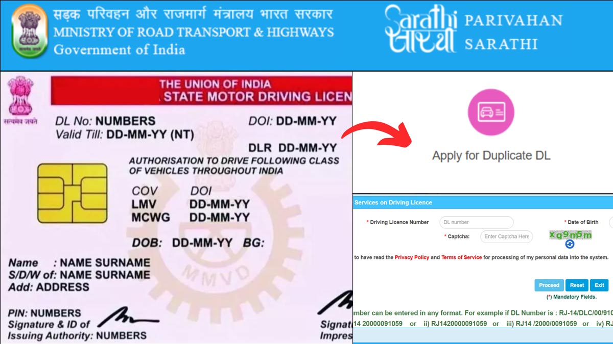 How To Apply For Duplicate DL Online (In 8 Steps)