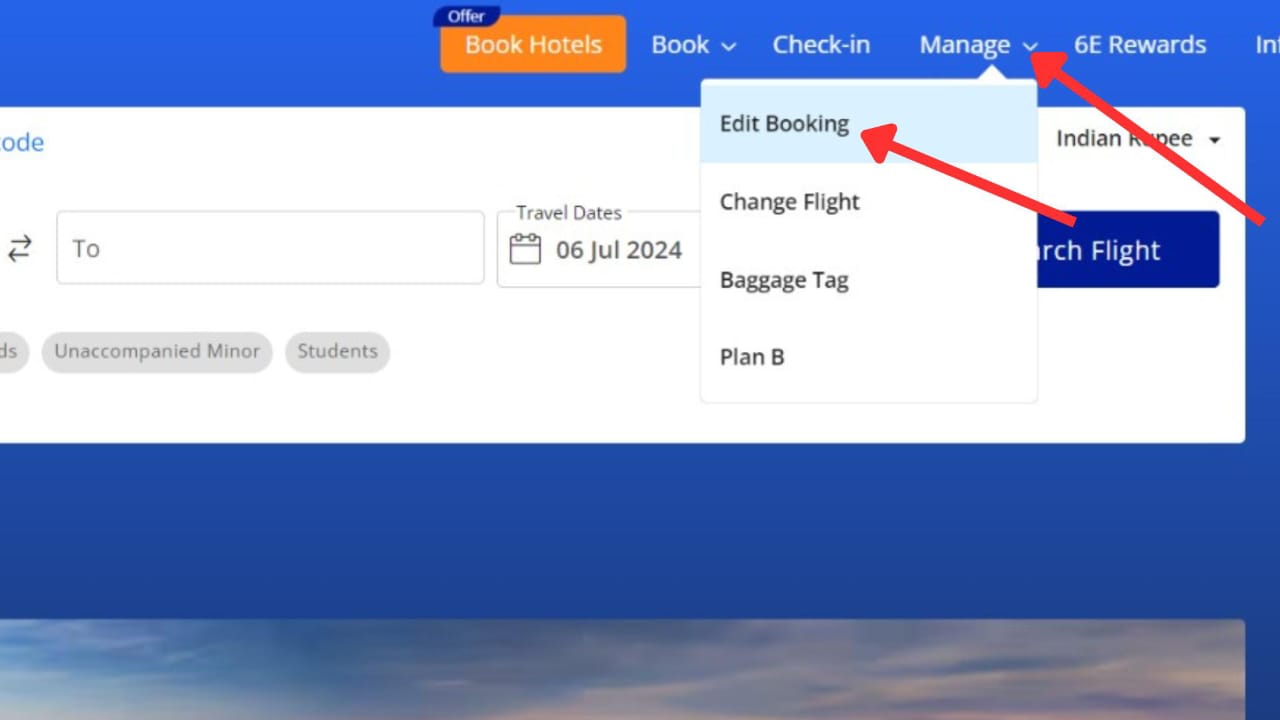How To Download Indigo Flight Ticket PDF Online (In 3 Steps)